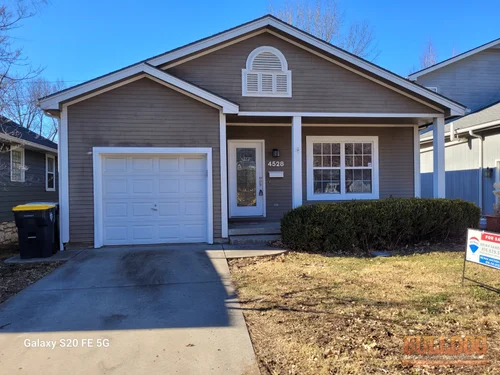 Tree Trimming Near Power Lines In Kansas City, MO: A Guide